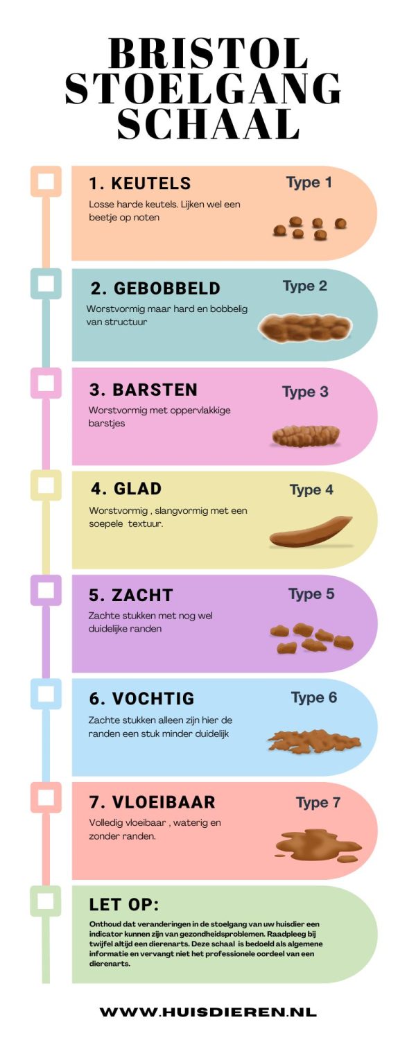 Alles wat je moet weten over de ontlasting van je hond - Huisdieren.nl